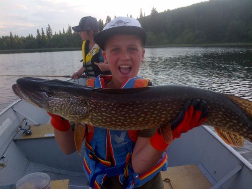 Winefred Lake, Alberta | Angler's Atlas