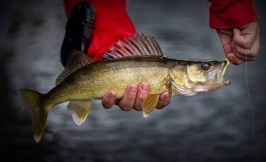2023 Battle Of The Anglers Iowa Fishing Tournament | Angler's Atlas