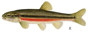 Bay of Quinte, Ontario | Angler's Atlas