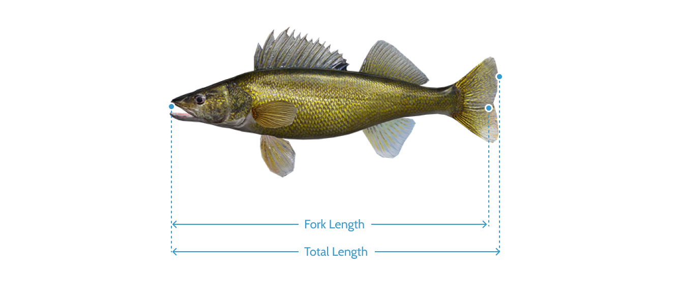 2023 Sproat Lake Bushwacker Fishing Derby | Angler's Atlas